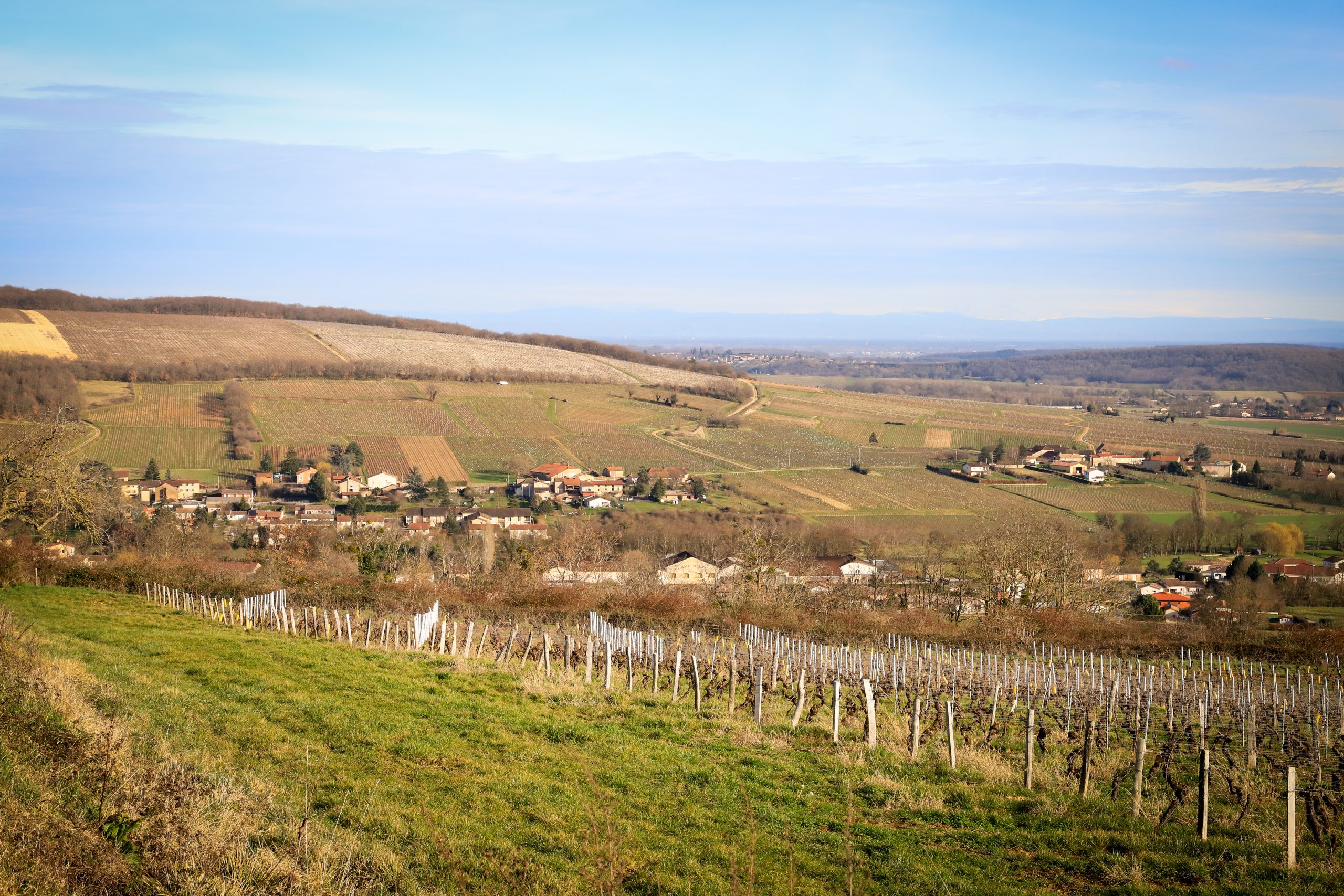Photothèque - Cave d'Azé